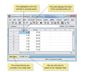 SPSS Training in Ikeja Lagos Nigeria - Lagos Data School